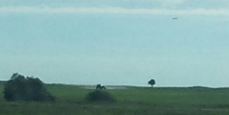 Strange Object in Sky Photographed in Strongfield, Saskatchewan, Canada ...